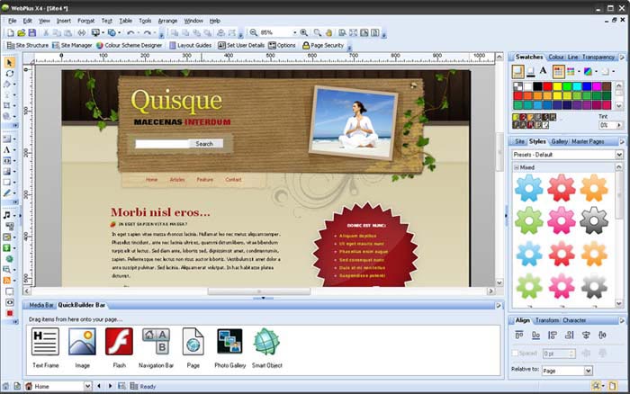WebPlus X4 - Box Pack (PC) : Amazon.co.uk: Software