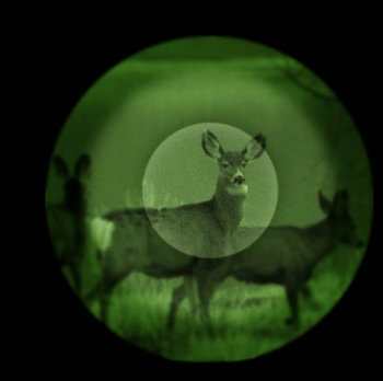 Bushnell 2x28 Equinox Gen 1 Night Vision Monocular : Amazon.co.uk ...