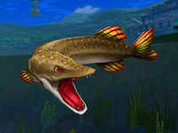 Rapala: We Fish (Wii) - Amazon.co.uk