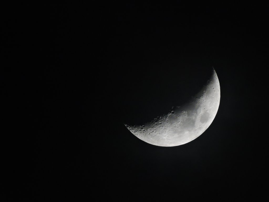 Nikon COOLPIX P600 Digital Camera - Black (16.1 MP, 60x Zoom) 3.0 inch ...