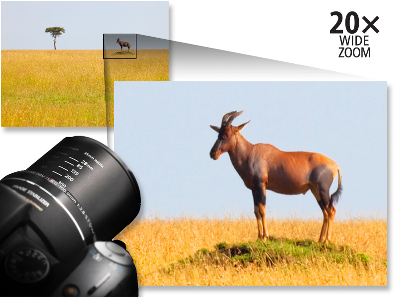 Canon PowerShot SX20 IS Digital Camera (12.1 Megapixel, 20x Optical ...