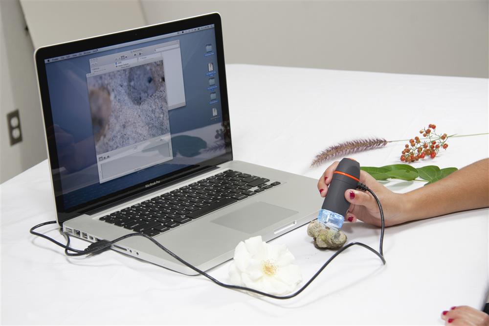 Celestron Handheld Mini Digital Box Microscope: Amazon.co.uk: Business ...