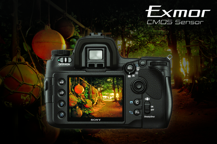 Sony Alpha DSLR-A850 Body: Amazon.co.uk: Electronics & Photo