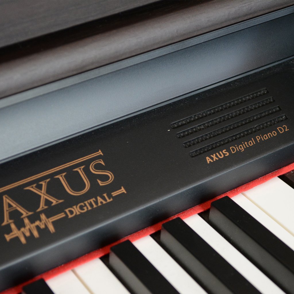 Axus Digital AXS2 Digital Piano - Silver : Amazon.co.uk: Musical ...