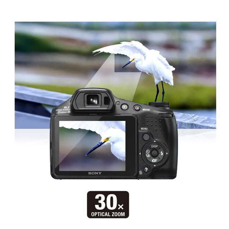 Sony Cyber-shot HX200V Super Advanced High Zoom Camera (18.2MP, 30x ...