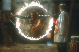 Animal - Das Tier im Manne: Amazon.de: Colleen Haskell, John C ...