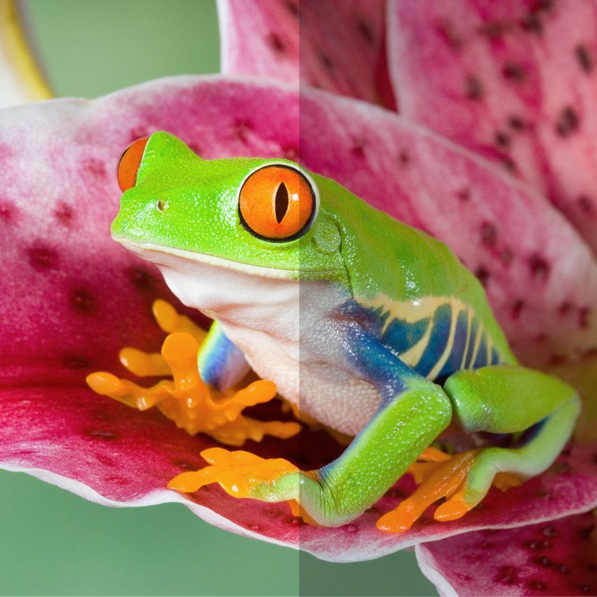 Sony BDP-S5100 Blu-ray-Player (3D, W-LAN, HDMI, HD Upscaler ...