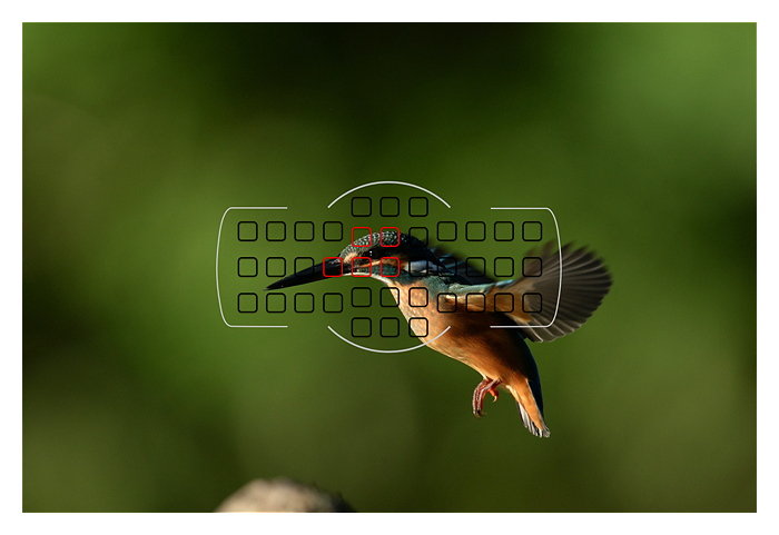 Nikon D610 SLR-Digitalkamera (24,3 Megapixel, 8,1 cm Display, Full HD ...