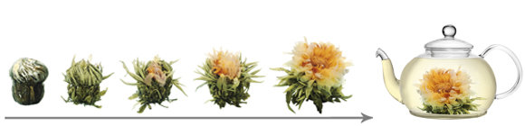 Solaris Tea Bio Teeblume Erblühender 5 Teerosen Flowering Tea, 1er Pack ...