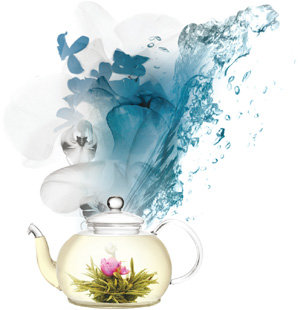 Solaris Tea Bio Teeblume Erblühender 5 Teerosen Flowering Tea, 1er Pack ...