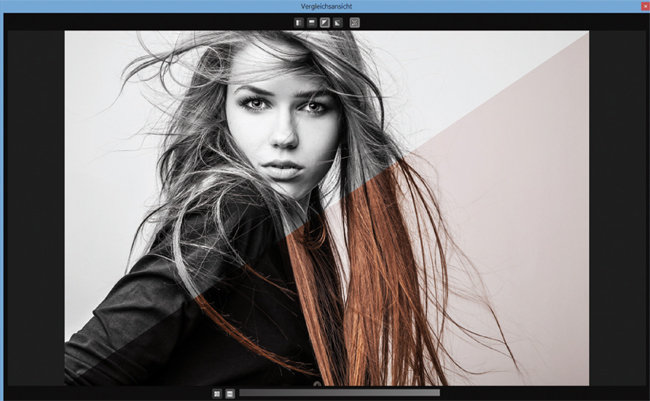 Silver projects professional : Amazon.de: Software