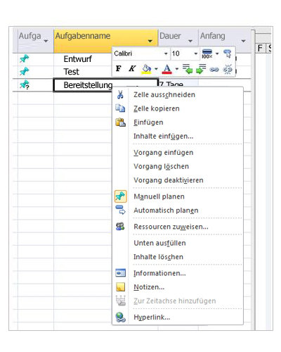 Microsoft Project Professional 2010 : Amazon.de: Software