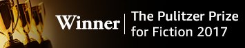 Buy The Underground Railroad: Winner of the Pulitzer Prize for Fiction ...