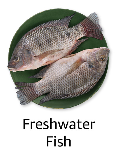 Amazon.in: Fresh Meat