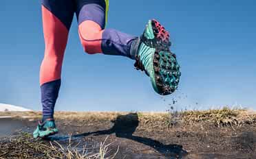 Amazon.nl: Large range, small prices for electronics, books, sports and ...