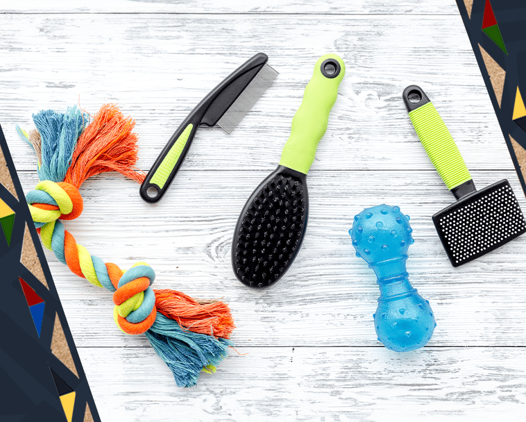 Amazon.co.za: : All Departments