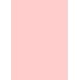 PASTEL PINK A4 Coloured Craft Card 160gsm x 50 Sheets : Amazon.co.uk ...