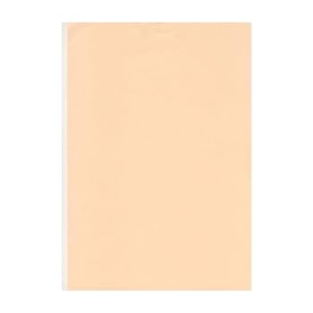 50 SHEETS A4 SALMON / PASTEL PEACH 80GSM PAPER - PRINTER COPIER CRAFT ...