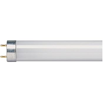 GE Lighting T8 Polylux XLR - Lampara Polylux xl-r860 58 W diametro 26 ...