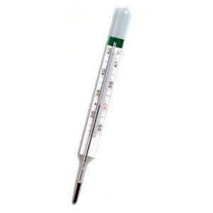 Environmentally-Friendly Mercury-Free Gallium Thermometer: Amazon.co.uk ...