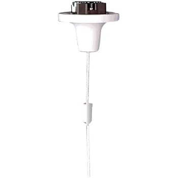 16 Amp Double Pole Pull Switch With Neon: Amazon.co.uk: DIY & Tools