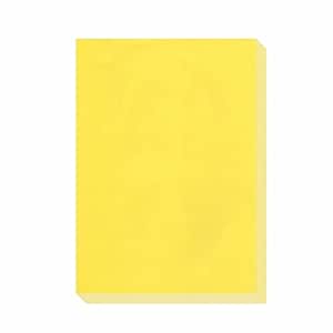 Escaper Lemon Colour Paper A4 Size Bundle (240 Sheets Pack - 297mm x ...