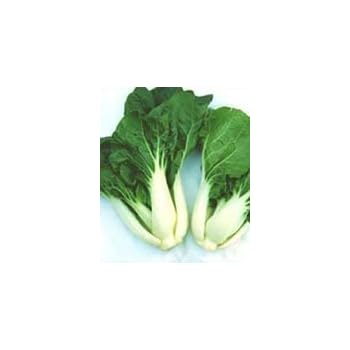 PAK CHOI - Dwarf Canton White - Chinese - 300 seeds: Amazon.co.uk ...