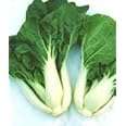 PAK CHOI - Dwarf Canton White - Chinese - 300 seeds : Amazon.co.uk: Garden