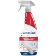 Cleanline Washroom Cleaner & Sanitiser, 6x750ml, Foaming Trigger Spray ...