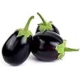 Veenas Fresh Brinjal Kenya Ravaya | 500G | Eggplant | Healthy Vegetable ...