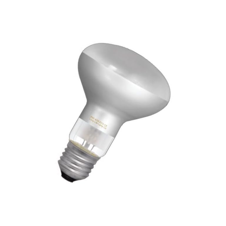 10 Pack Eco R80 Reflector 42w = 60w Spot Light Bulb ES E27 Screw Fit ...