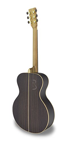 APC EA Luthier – Guitarra Acustica- modelo EA (casos incluidos) – Cosas ...