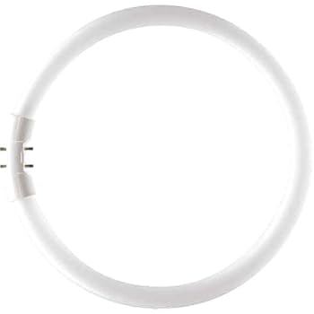 Philips Circular Pro TL5-C 840 Fluorescent Light 2GX13 Cool White 40 W ...