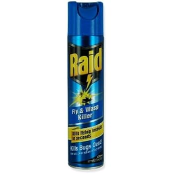 Raid Fly and Wasp Killer Aerosol Ref 95306: Amazon.co.uk: Kitchen & Home