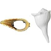 HaridwarDivine Dakshinavarti Shankh Original Pure White with Stand 5 ...