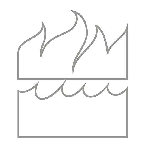 The Art of the Lord of the Rings : Hammond, Wayne G., Scull, Christina ...