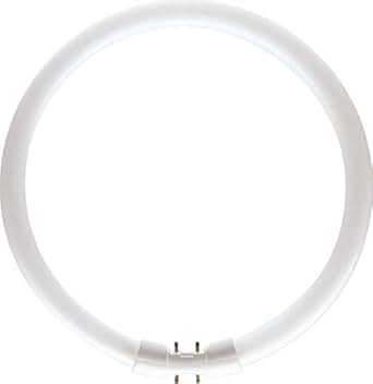 Philips Circular Pro TL5-C 840 Fluorescent Light 2GX13 Cool White 40 W ...