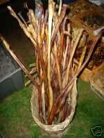 PIZZLE 30"/bully stick(THE BIG ONE) BULLS PENIS LONG AND THICK (4 PACK ...