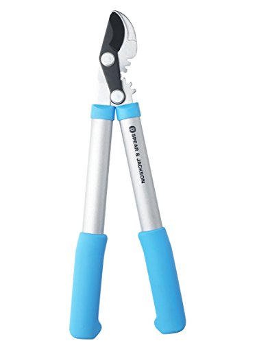 Spear & Jackson Geared Bypass Loppers and Secateur Set - Blue | Garden ...