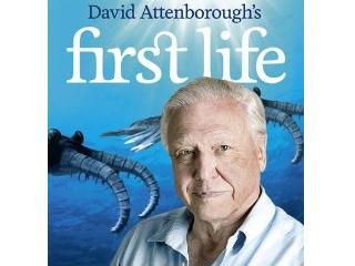 David Attenborough’s First Life: A Journey Back in Time with Matt ...