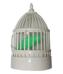 Buy Wite Parrot Sound Pinjara Module Door Bell Plastic with light ( 6in ...