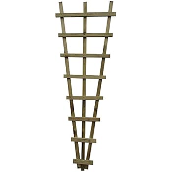 Fan Trellis 6ft x 2ft- pack of 2: Amazon.co.uk: Garden & Outdoors