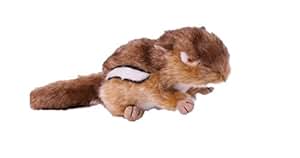 Petface Cheeky Chipmunk Dog Toy: Amazon.co.uk: Pet Supplies