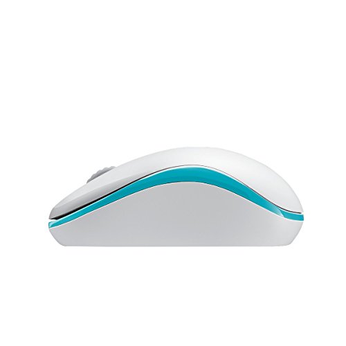 Rapoo M10 Plus, Mouse Ottico Wireless 2.4 GHz, ambidestro,  2D, 1000 dpi,ricevit