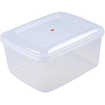 Buy Nakoda Plastic Small Container Box (10L) Online at Low Prices in ...