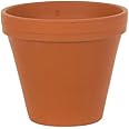 Woodlodge 10cm Terracotta Spang Standard Pot : Amazon.co.uk: Garden