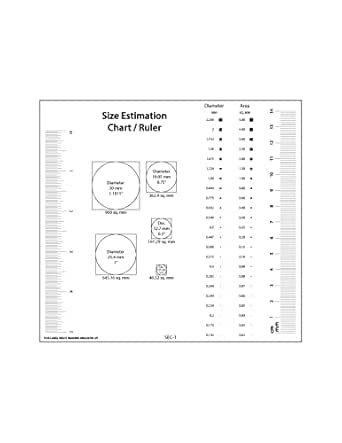 SEC-01 Size Estimation Chart (Transparency) with Ruler : Amazon.in ...