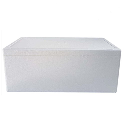 » NOF – XXL EPS STYROPORBOX STYROPORKISTE KÜHLBOX THERMOBOX 62 LITER 80 ...