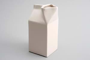 Large Ceramic Milk Carton Jug: Amazon.co.uk: Kitchen & Home