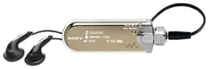 Sony NW-E507 1GB Walkman MP3 Player with FM Tuner - Gold: Amazon.co.uk: Audio & HiFi